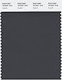 Amazon.com: Pantone 16-3915 TCX Smart Color Swatch Card, Alloy: Home ...