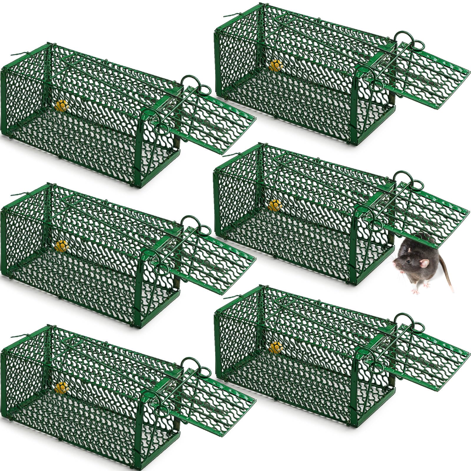 Qualirey 6 Pcs Humane Rat Trap Chipmunk Squirrel Cage Trap Foldable ...