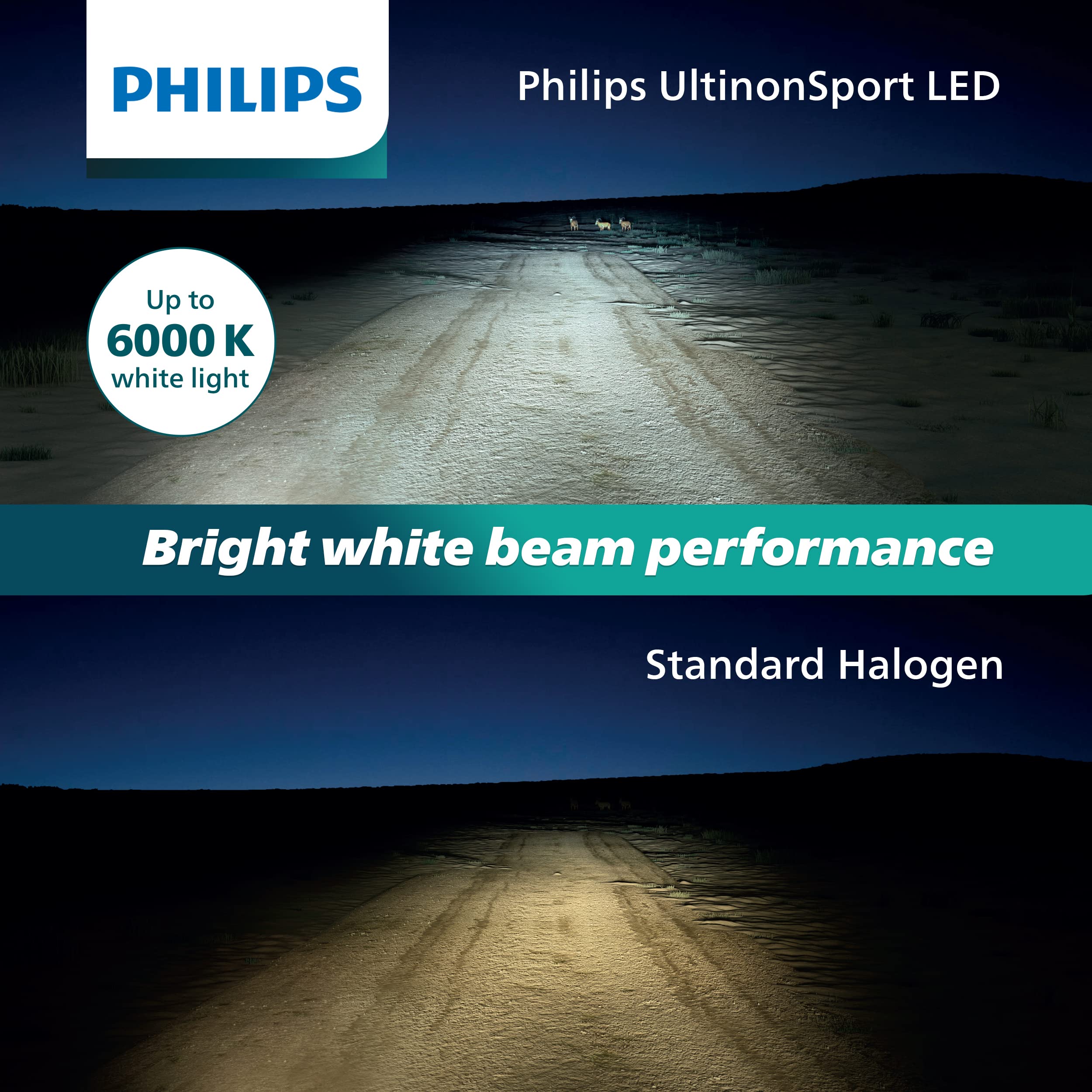 Philips UltinonSport H3 LED Bulb For Fog Light And Powersports ...