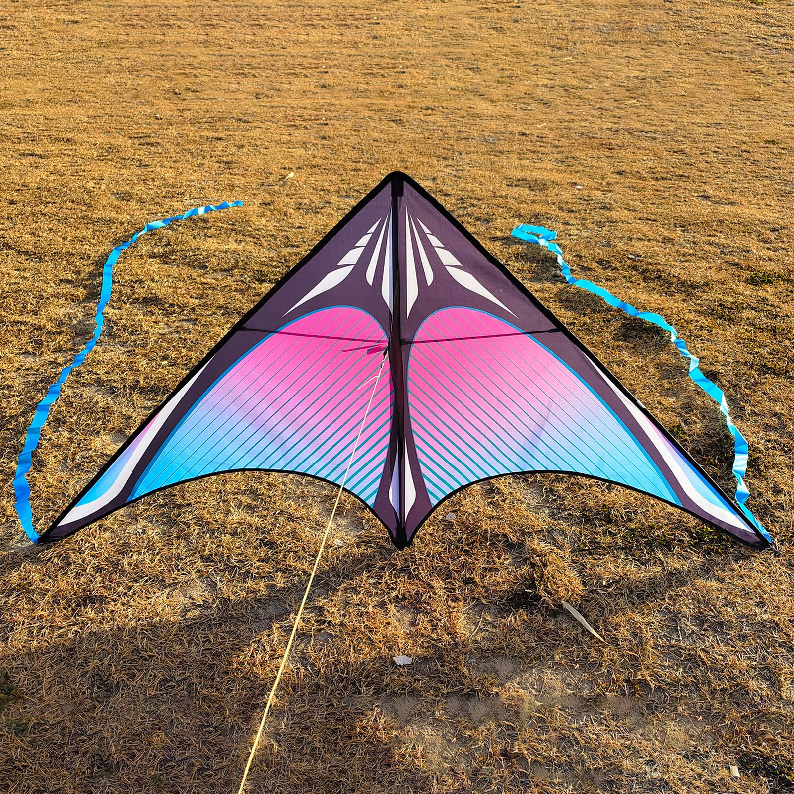 Mua Flying Hoofer Large Beach Delta Kite for Adults and Kids Ages 4-8 ...