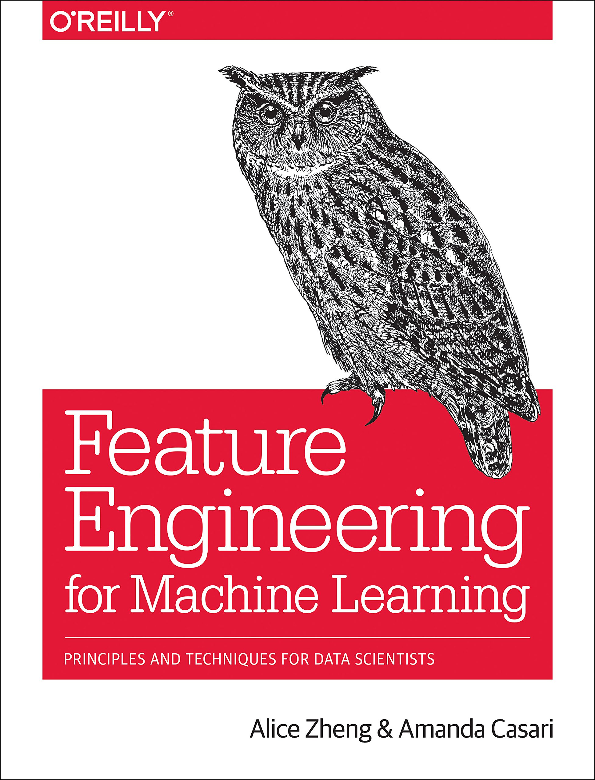 Mua Feature Engineering for Machine Learning: Principles and Techniques ...