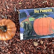 Big Pumpkin: Erica Silverman, S.D. Schindler: 8601400268452: Amazon.com ...