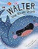 Walter the Whale Shark: and His Teeny Tiny Teeth in Oman | Whizz New ...