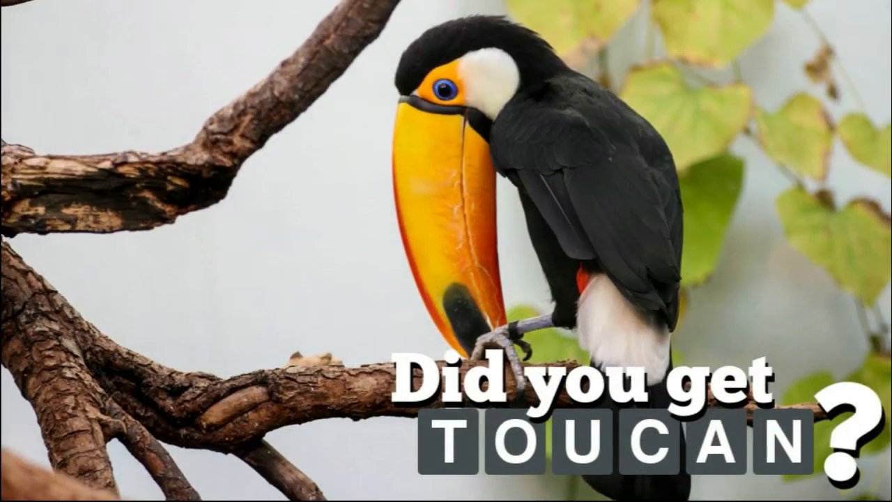 Eye Know: Image FX Word Quiz - App on Amazon Appstore