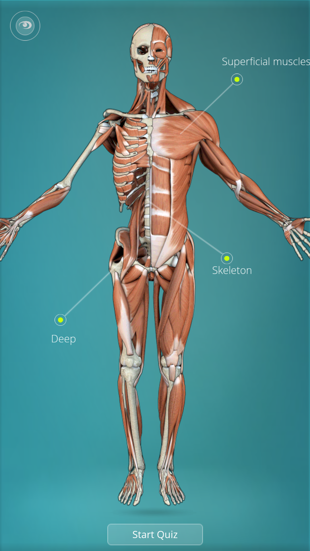 Amazon Anatomy Quiz Muscles And Bones Apps Games