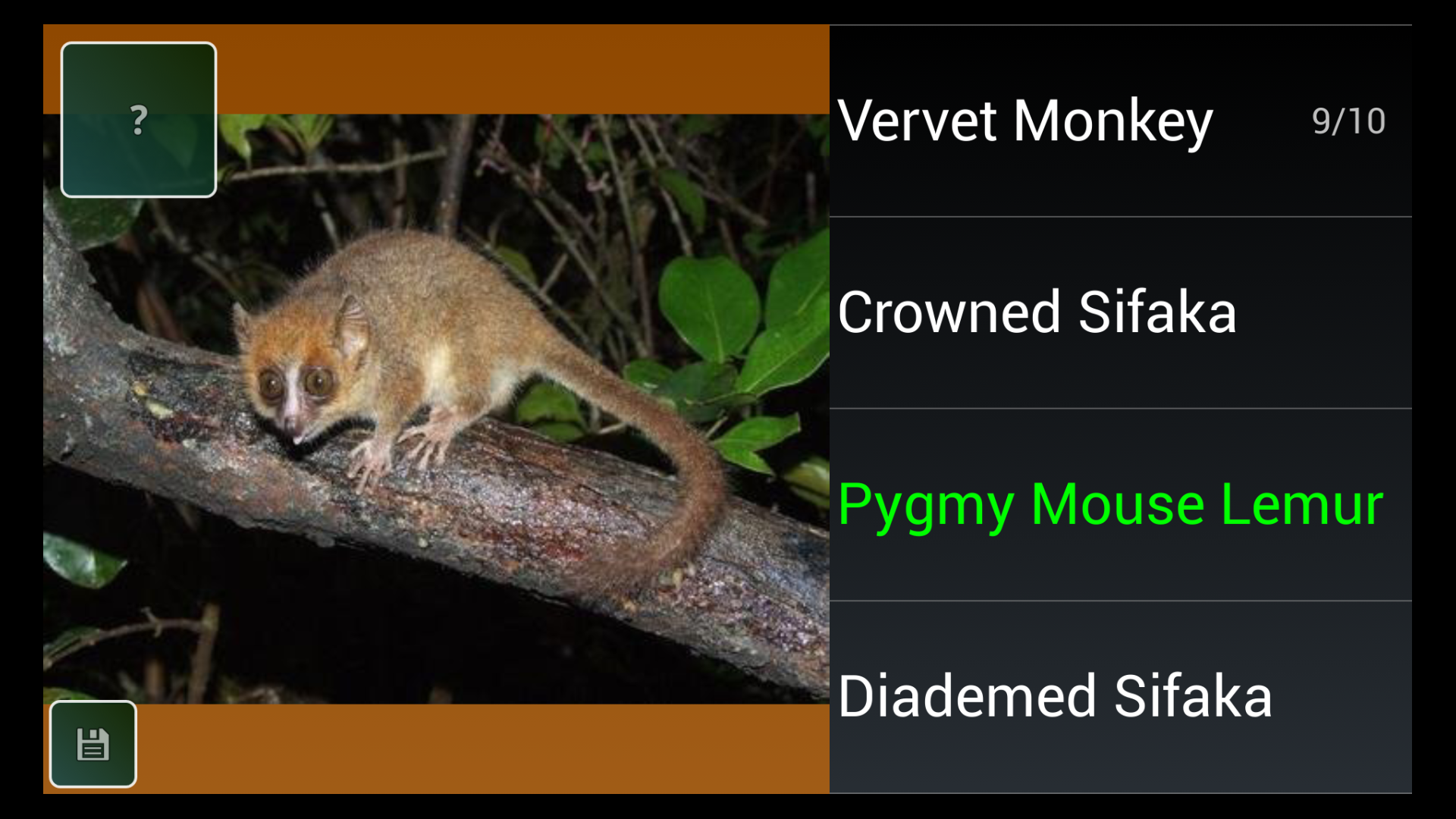 Monkey Species Trivia Quiz:Amazon.com:Appstore for Android