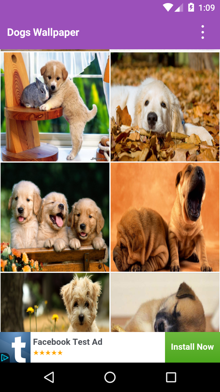 Amazon.com: Dog Wallpaper: Appstore for Android