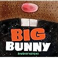 Big Bunny: (Funny Bedtime Read Aloud Book for Kids, Bunny Book ...