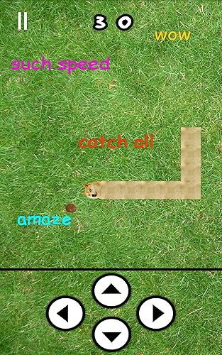 Doge Snake:Amazon.com:Appstore for Android