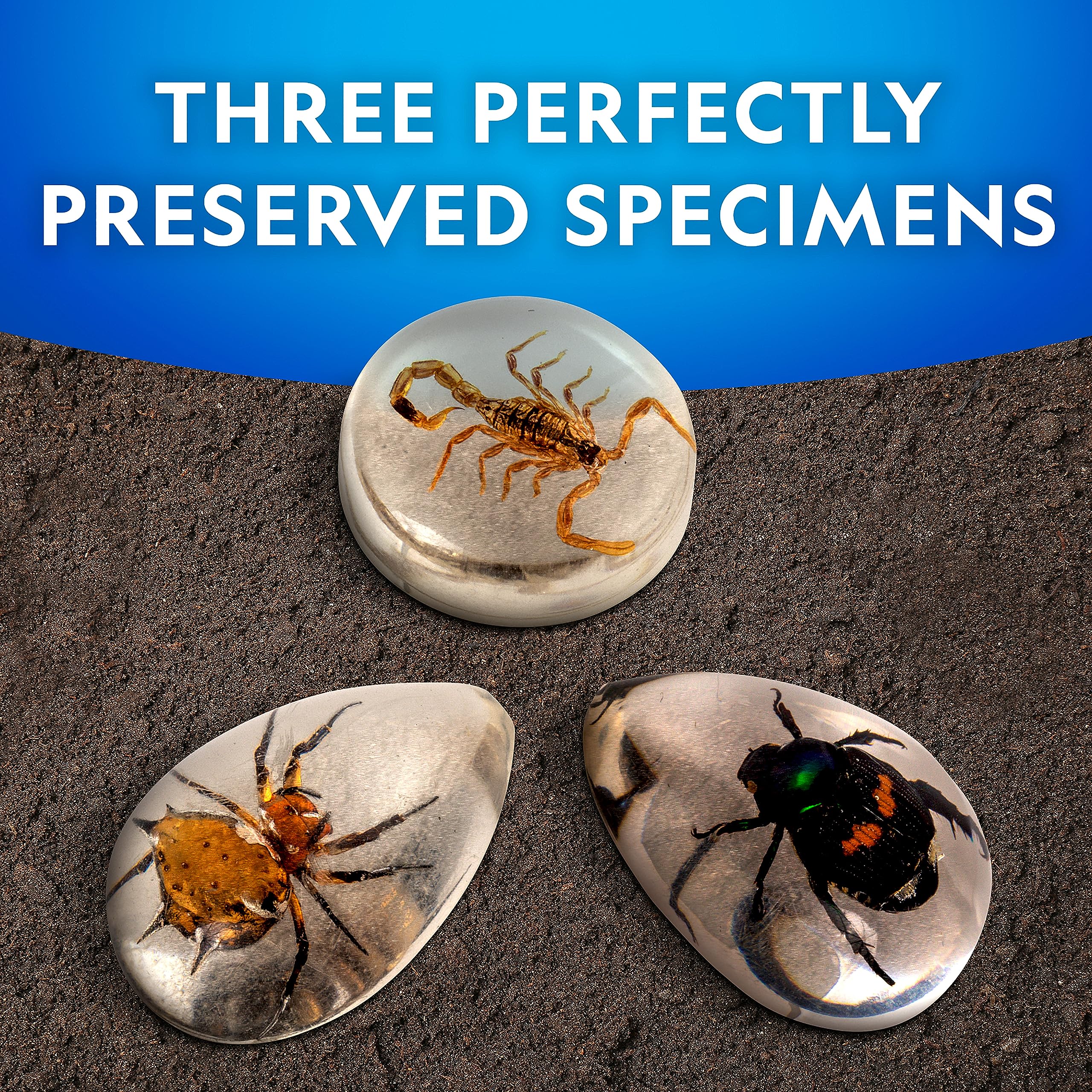 Mua Real Bug Dig Kit - Dig up 3 Real Insects including Spider, Fortune ...