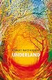 Underland: A Deep Time Journey: Amazon.co.uk: Robert Macfarlane ...