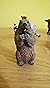 Amazon.com: Papo -hand-painted - figurine -Wild animal kingdom - Marmot ...