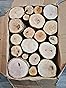 EAST BRANCH LOGGING DECORATIVE ROUND LOGS, DISPLAY NATURAL ROUND LOGS ...