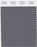 Pantone 16-3915 TCX Smart Color Swatch Card, Alloy - House Paint ...