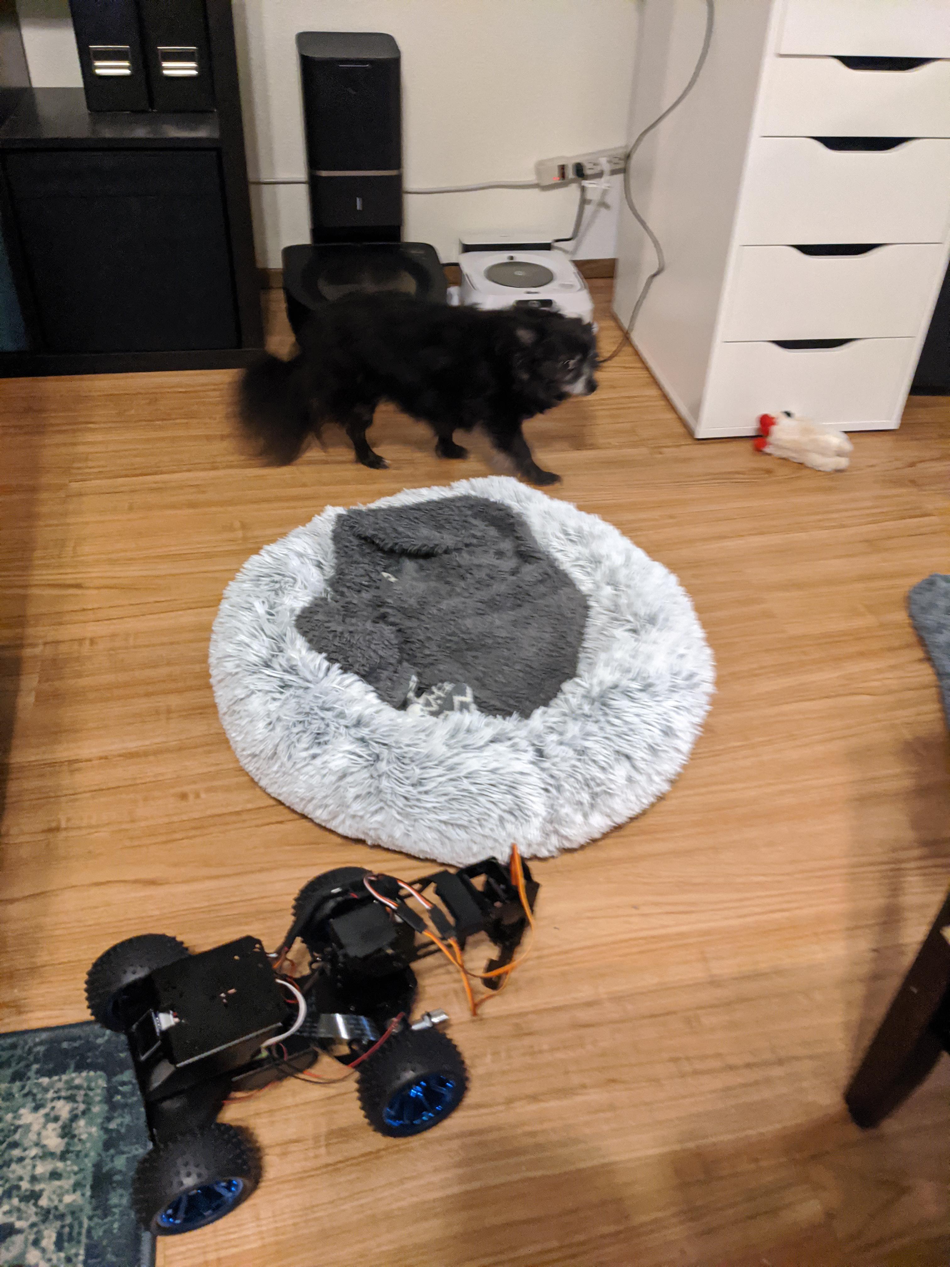 27mo Finance Adeept Picar Pro Compatible With Raspberry Pi Robot Kit Programming 2 In 1