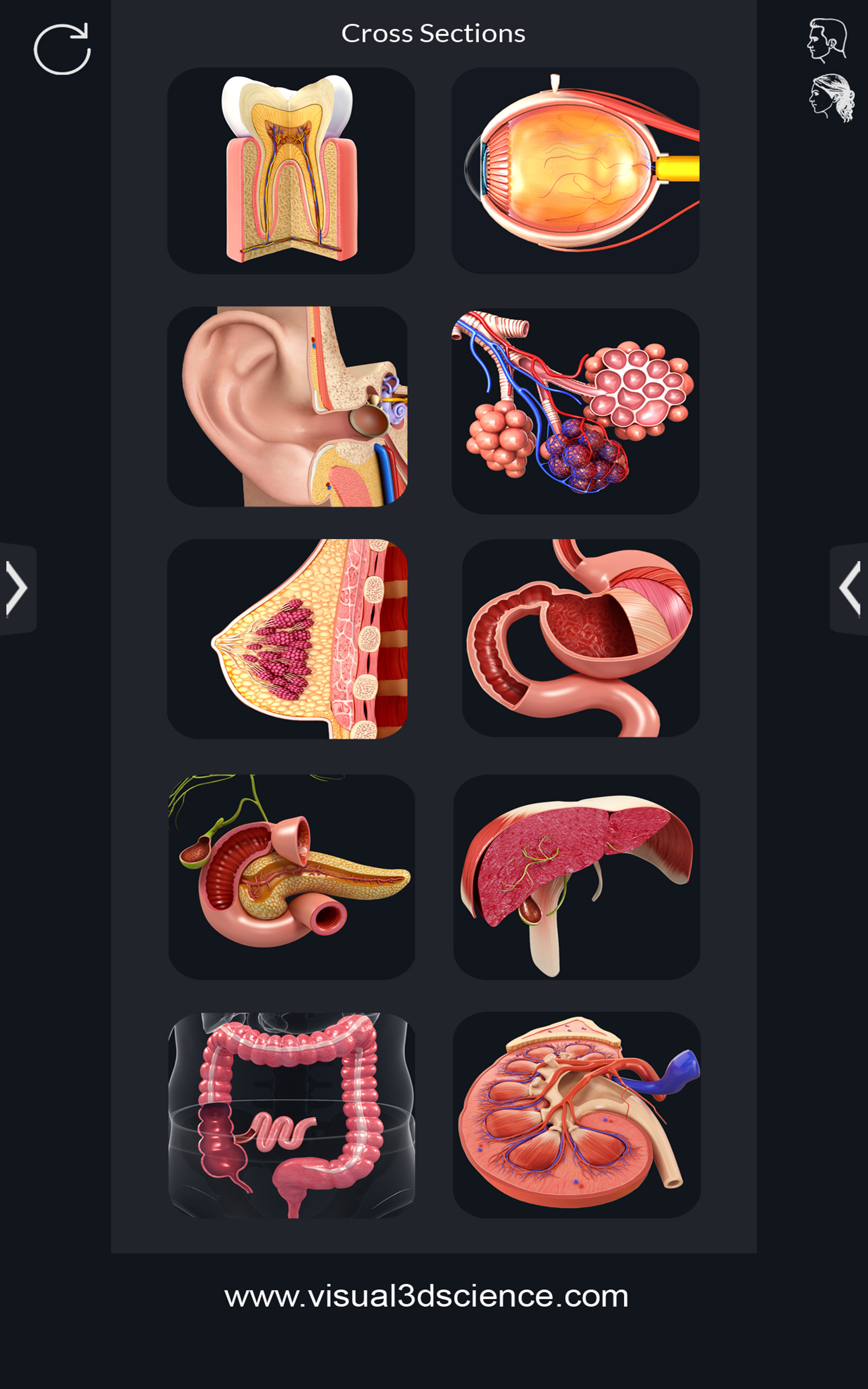Organs Anatomy Pro.:Amazon.in:Appstore for Android