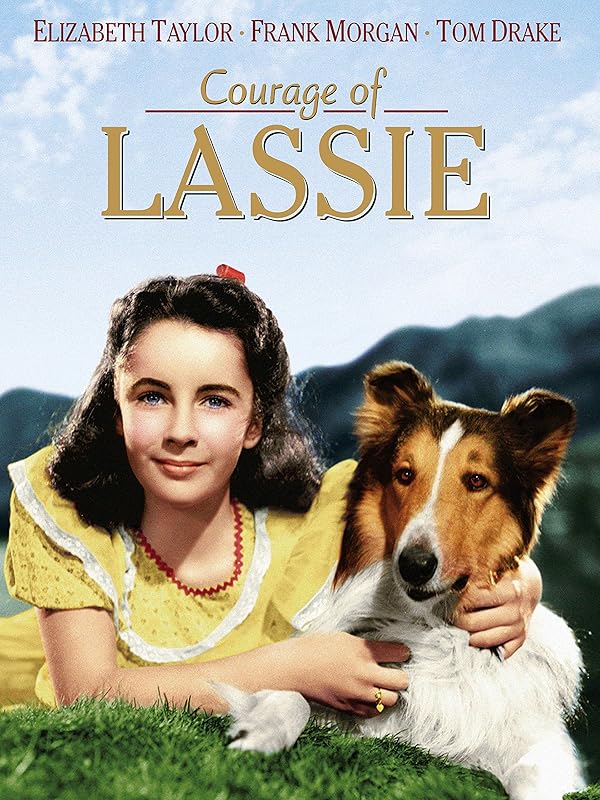 Watch The Courage of Lassie | Prime Video