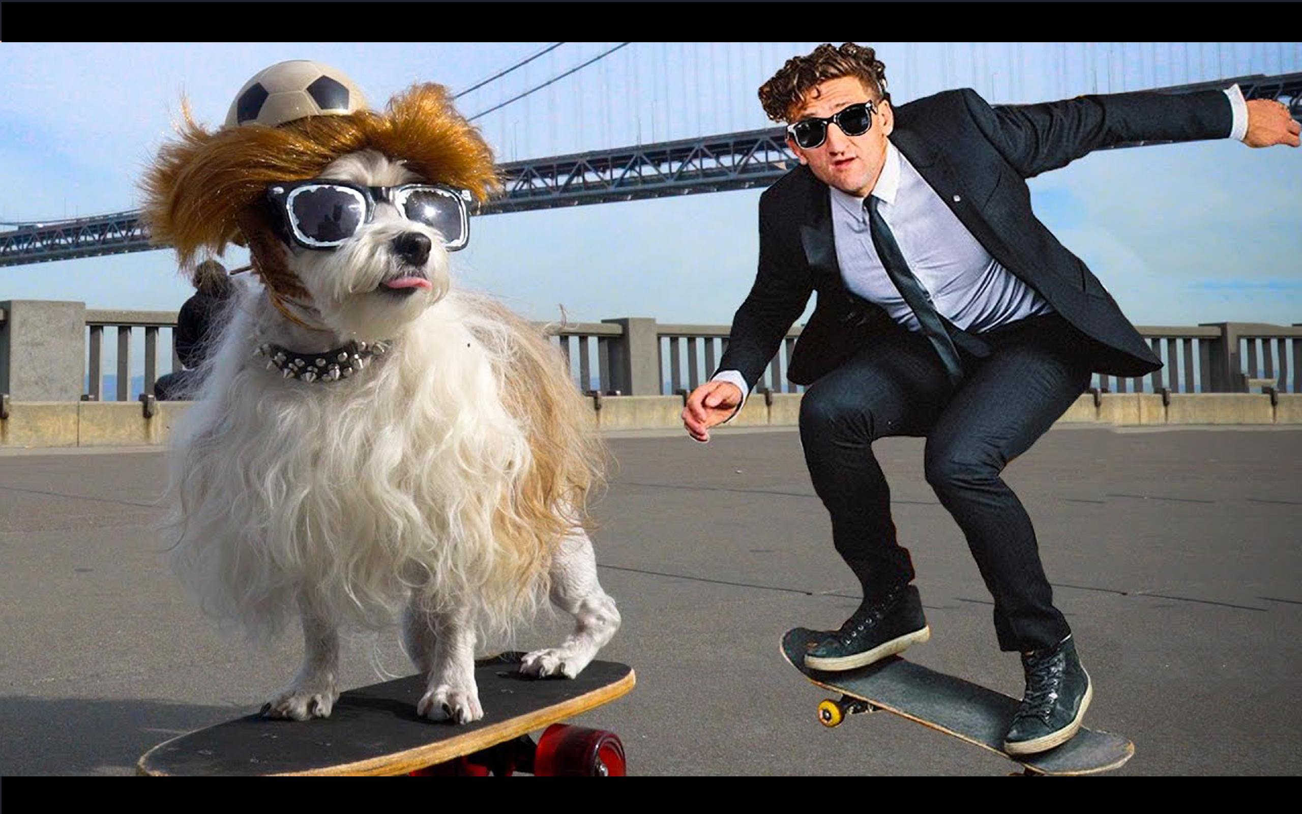 AFV Animals-Animal & Pet Video:Amazon.in:Appstore for Android