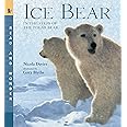 Ice Bear: Read and Wonder: In the Steps of the Polar Bear: Davies ...
