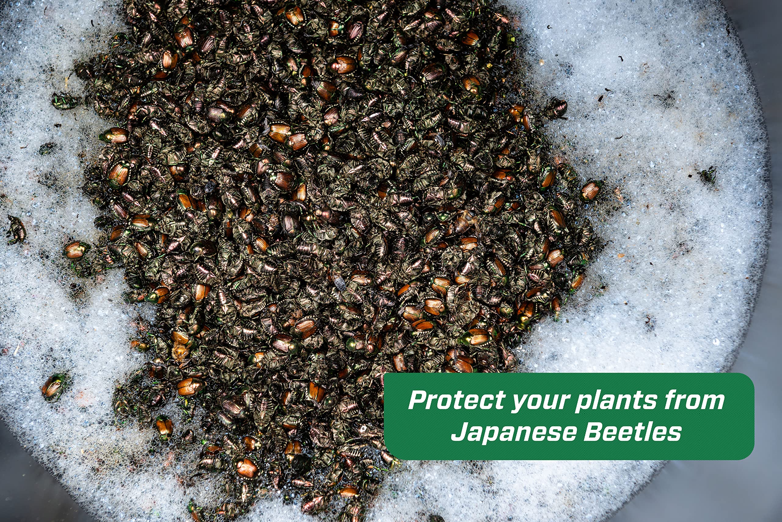 Mua RESCUE! Japanese Beetle Trap – Reusable Bag - 2 Traps RESCUE ...