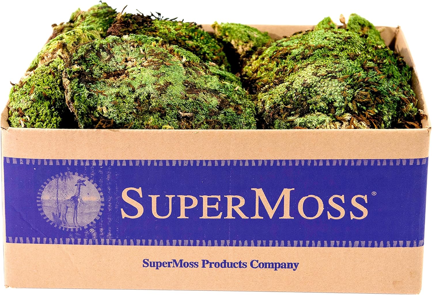 SuperMoss (21881) Royal Pool Moss Preserved, Fresh Green, 3lbs: Amazon ...