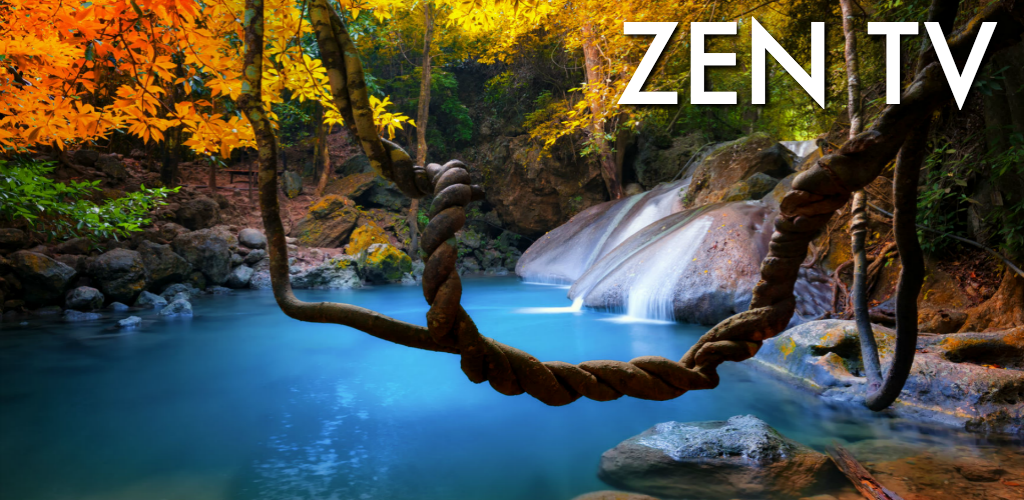 Amazon.com: Zen TV: Appstore for Android