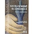 Development Economics: Theory and practice: 9781138885318: Business ...
