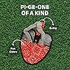 Hen Holster Bird Diaper, Wrap Around, for Pigeons, Small Breed Hens and ...
