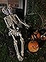 Amazon.com: Two-Headed Life-Size Human Skeleton (5 feet Tall) Posable ...