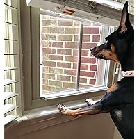 Amazon.com : Sill Shield Clear Pet Window Sill Protector - Guards ...