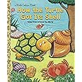 How the Turtle Got Its Shell: Fontes, Justine, Fontes, Ron, Motoyama ...