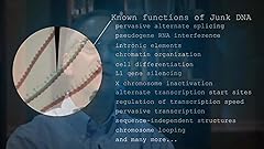 The Myth of Junk DNA: Dr. Jonathan Wells Ph.D.: 9781936599004: Amazon ...