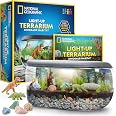Amazon.com: NATIONAL GEOGRAPHIC Light Up Terrarium Kit for Kids ...