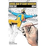 Amazon.com: Animal Man, Book 1 - Animal Man (9781563890055): Morrison ...