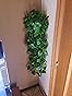 YQing 2 Piezas Artificial Hiedra Boston Helecho, Planta Colgante ...