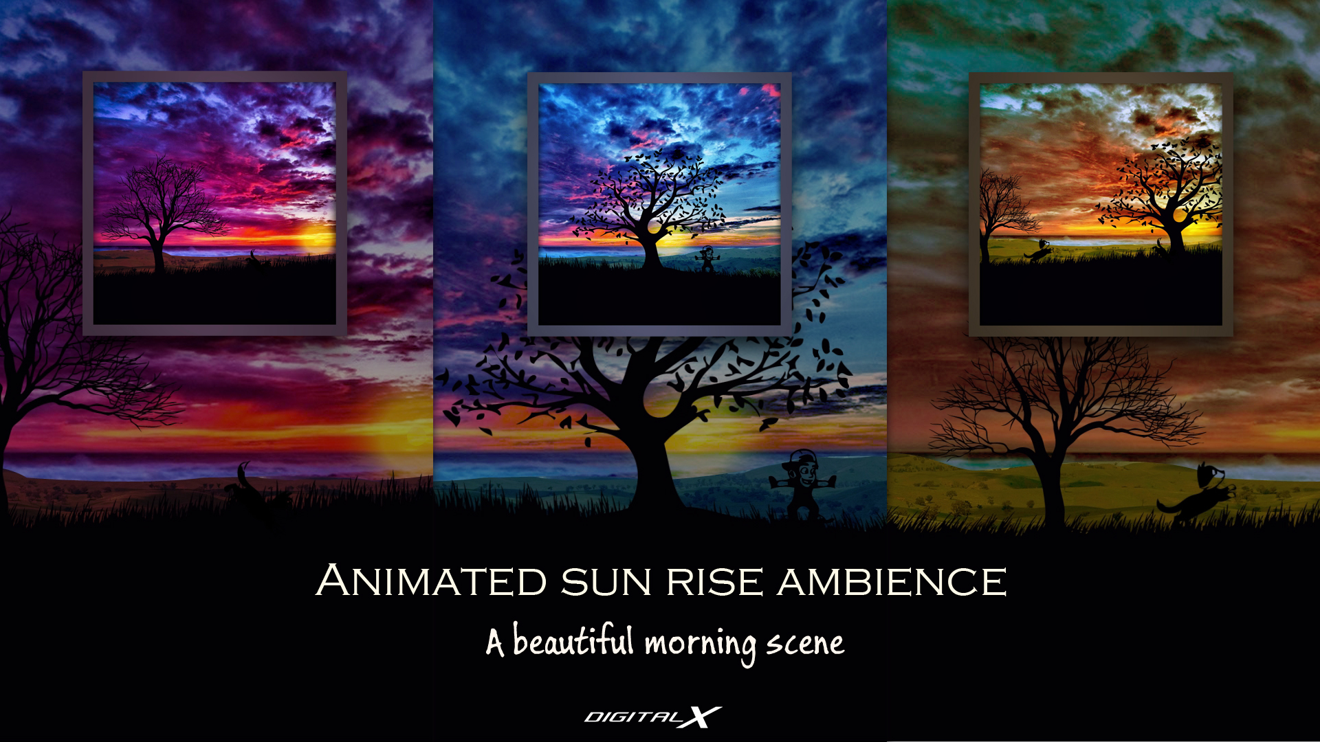 Animated Sun Rise Ambience - A Beautiful Morning Scene:Amazon.de ...