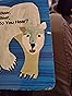 Amazon.com: Polar Bear, Polar Bear, What Do You Hear? (Brown Bear and ...