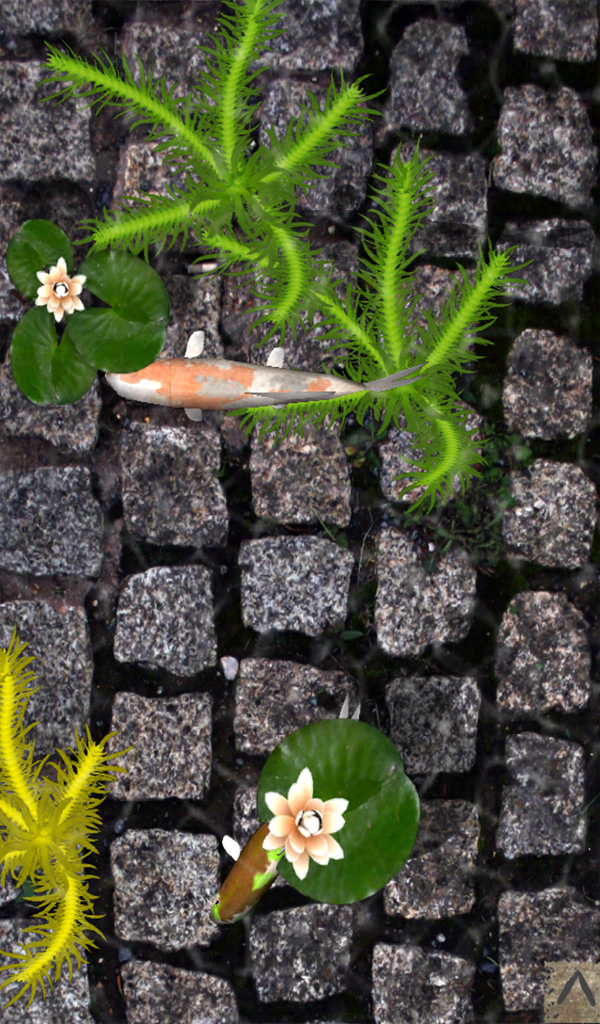 Pocket Pond 2:Amazon.co.uk:Appstore for Android