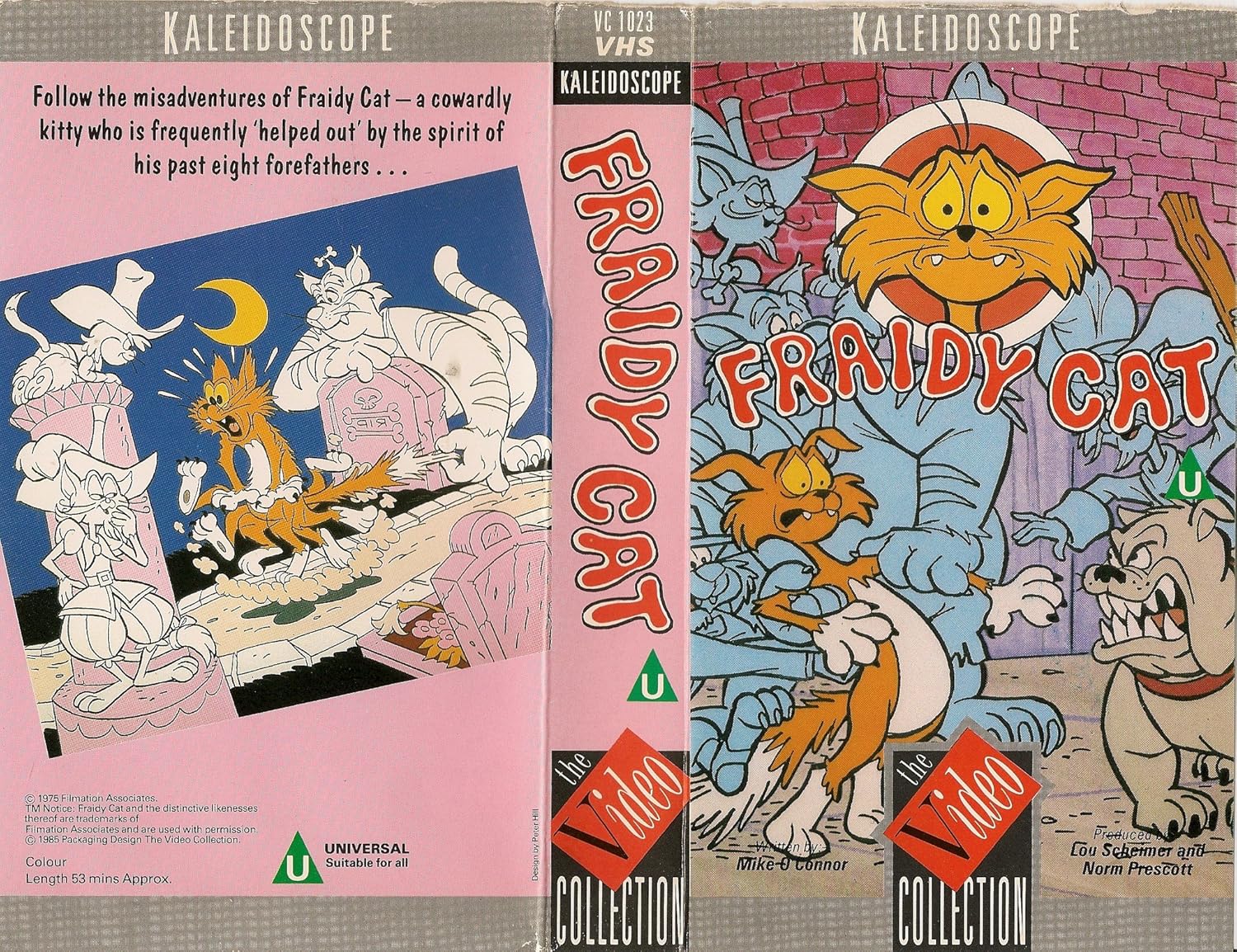 Fraidy Cat: Amazon.co.uk: Video