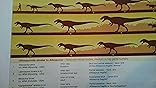 The Encyclopedia of Dinosaurs: The Theropods: Amazon.co.uk: Molina ...