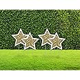 Amazon.com: Generic Glitter Star Yard Decor Custom Star Yard Cutout | 9 ...