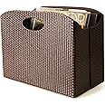 Amazon.com: BLU MONACO Brown Woven Leather Magazine Holder with Handles ...
