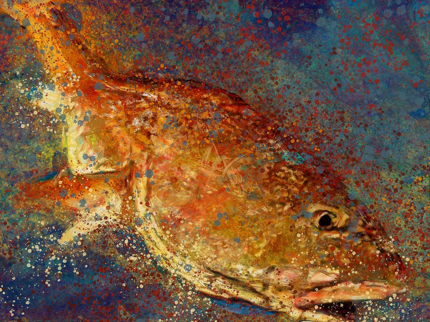 Amazon.com: Redfish Wall Art Print, Redfish Fishing Gift, Red Drum ...