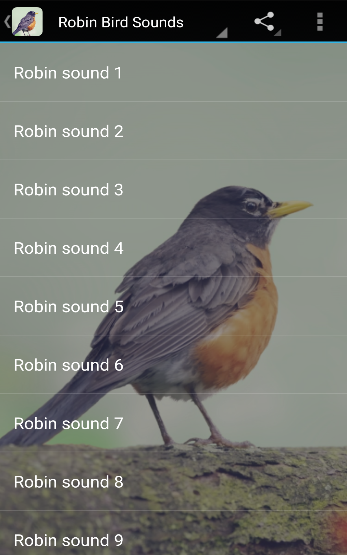 Robin Bird Sounds: Amazon.ca: Appstore for Android