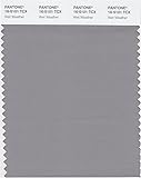 Amazon.com: Pantone 16-3915 TCX Smart Color Swatch Card, Alloy: Home ...