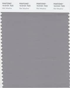 Pantone 16-5101 TCX Smart Color Swatch Card, Wet Weather - House Paint ...