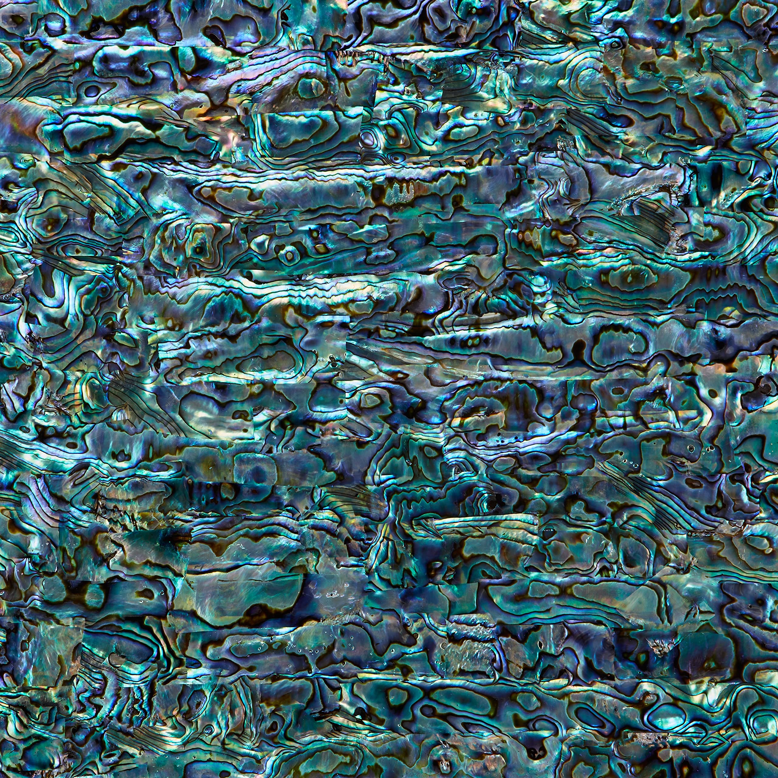 Abalone Shell Inlay Veneer for DIY or Professional Inlay Embellishments ...