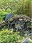 Amazon.com : Aquascape Waterfall Spillway for Pondless Waterfall, Pond ...