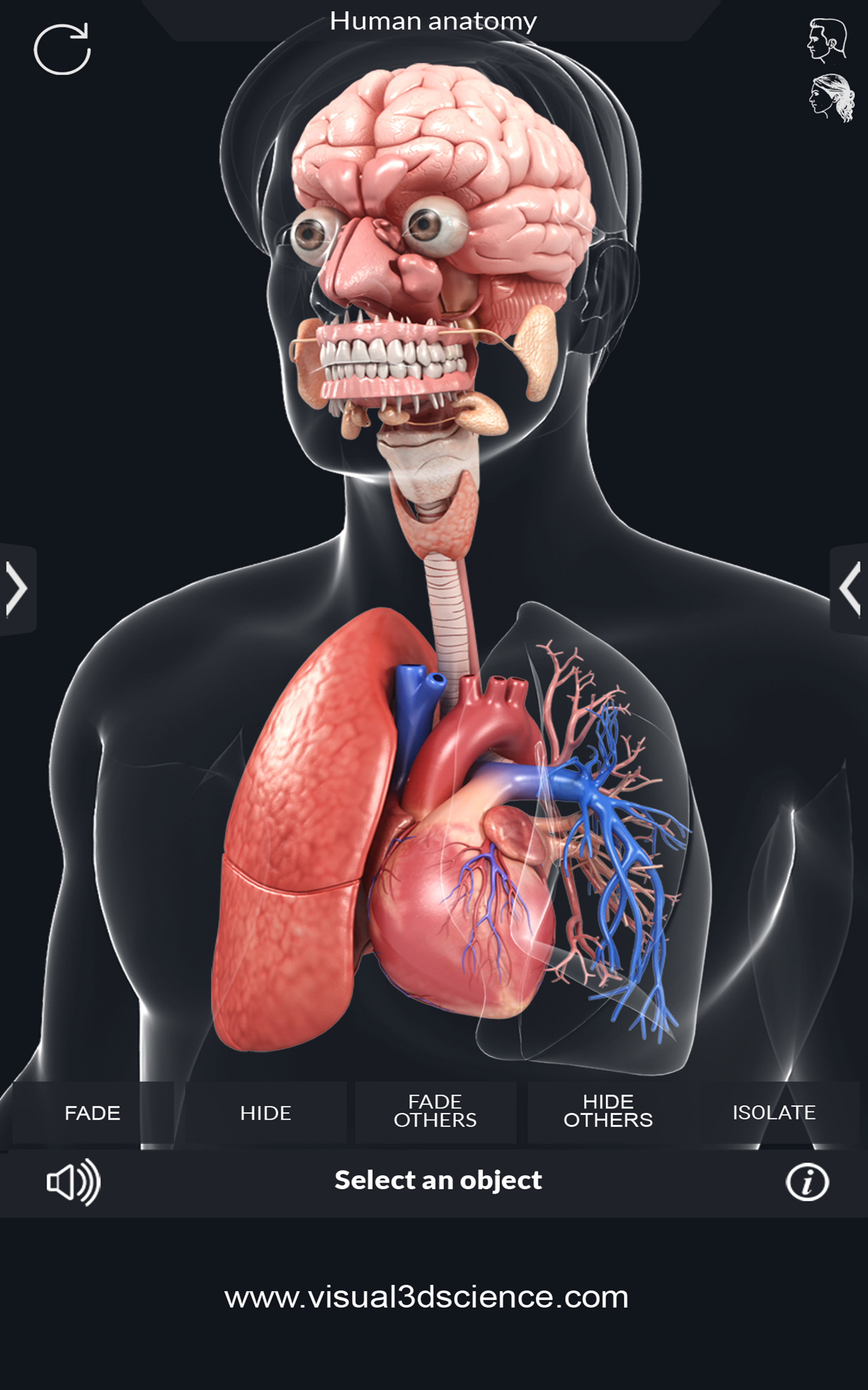 Organs Anatomy Pro.:Amazon.in:Appstore for Android