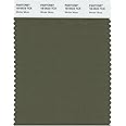 Pantone 18-0523 TCX Smart Color Swatch Card, Winter Moss - House Paint ...